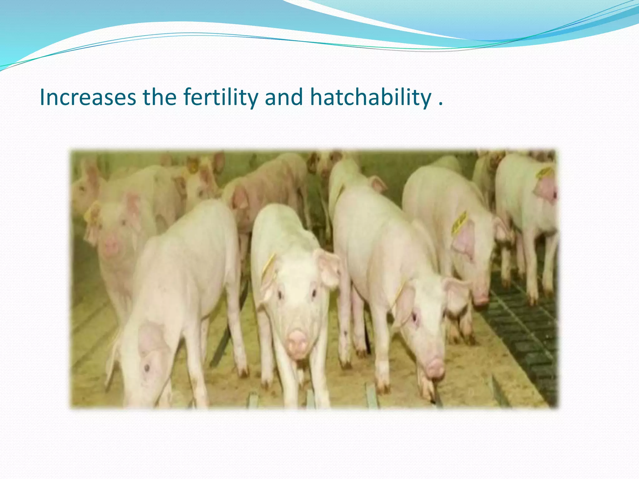 Liver tonic with Amino Power | PPTX