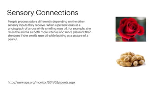 ANFA_2014_Sensory Design | PDF
