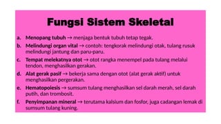 Anatomi dan Fisiologi FASE E SISTEM SKELETAL.pptx