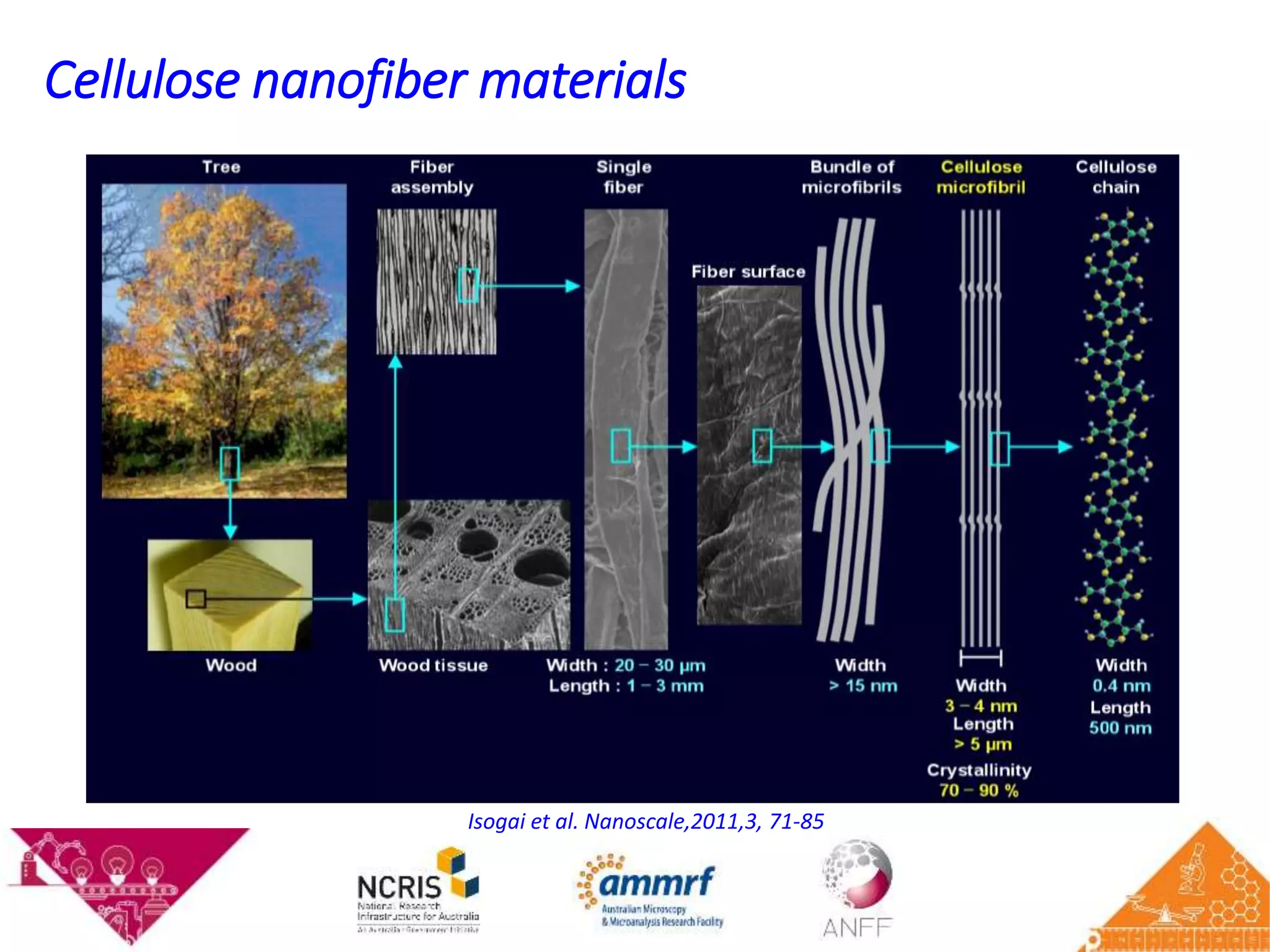 Tuning Nanoscale Surface Roughness and Smoothness of Nanocellulose Film ...