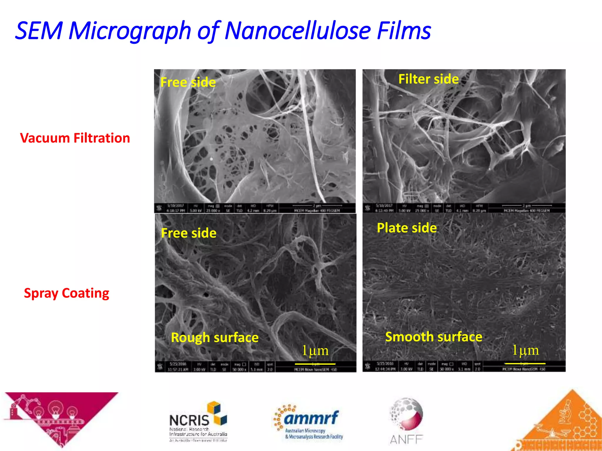 Tuning Nanoscale Surface Roughness and Smoothness of Nanocellulose Film ...