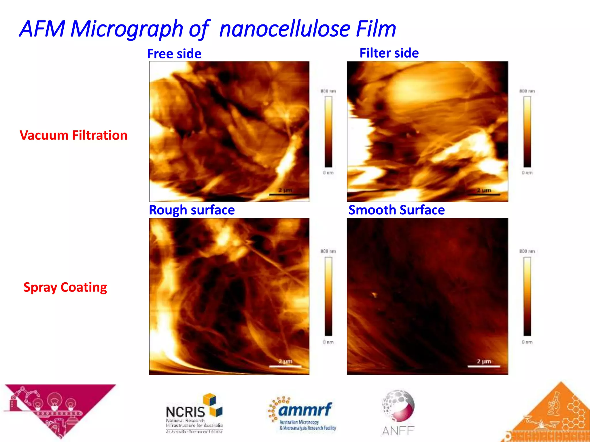 Tuning Nanoscale Surface Roughness and Smoothness of Nanocellulose Film ...