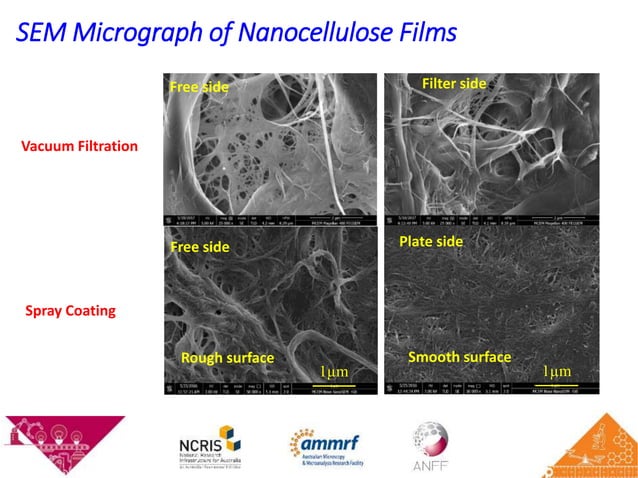 Tuning Nanoscale Surface Roughness and Smoothness of Nanocellulose Film via Spray Coating | PPT