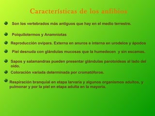 Anfibios | PPT