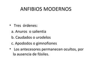 Anfibios | PPT