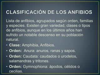 Anfibios | PPTX