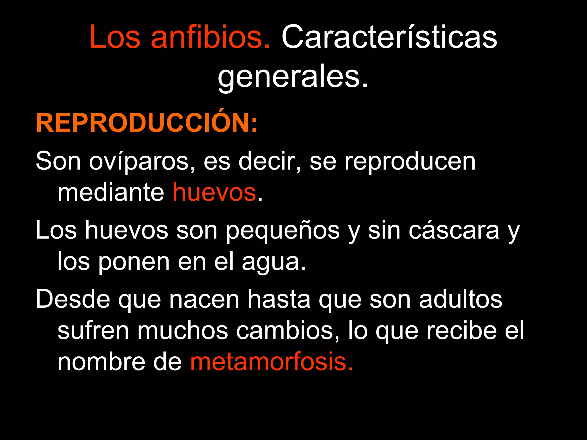 Anfibios_Manuel Arévalo | PPT
