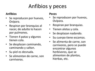 Anfibios y peces | PPTX