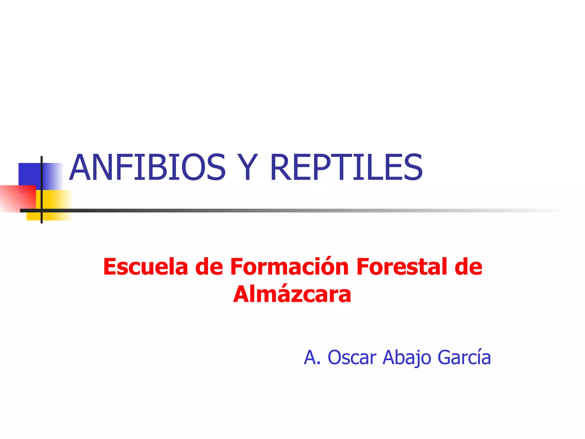 Anfibios y reptiles 1 | PPT