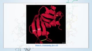 Anfinsen's Experiment | PDF