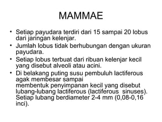 Anatomi Fisiologi Reproduksi Wanita | PPT