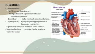 ANATOMI FISIOLOGI JANTUNG MANUSIA OKE FIX | PPTX
