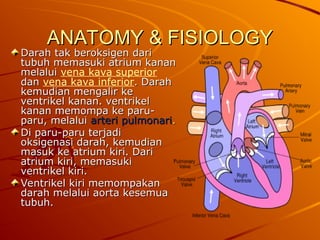 ANATOMI DAN FISIOLOGIS SISTEM KARDIOVASCULAR | PPT