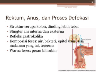 Anatomi Fisiologi Sistem Pencernaan | PPTX
