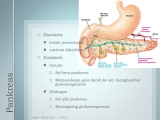 Anatomi Fisiologi Metabolisme dan Endokrin | PPTX