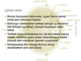 Anatomi Fisiologi Pengindraan | PPTX
