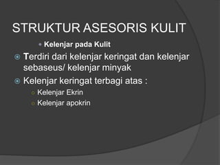 Anfis integumen | PPTX