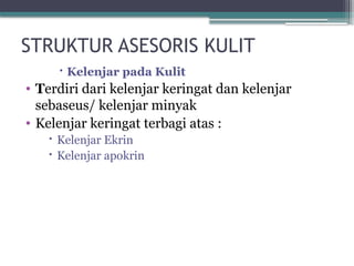 anatomi fisiologi -sistem integumen.pada manusia pptx | PPTX