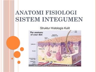anatomi fisiologi sistem -integumen.pptx