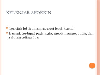 anatomi fisiologi sistem -integumen.pptx