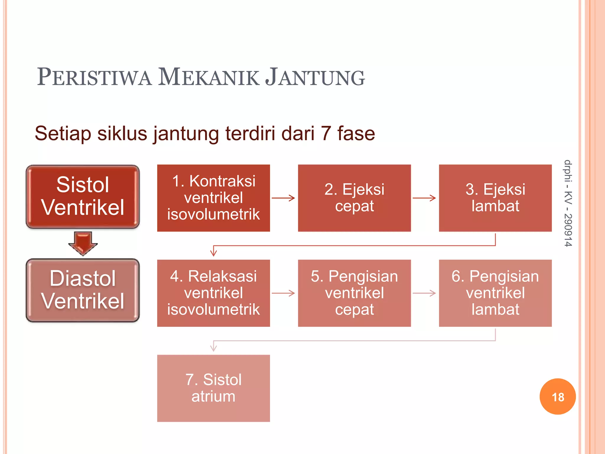 Anatomi Fisiologi Sistem Kardiovaskuler | PPTX