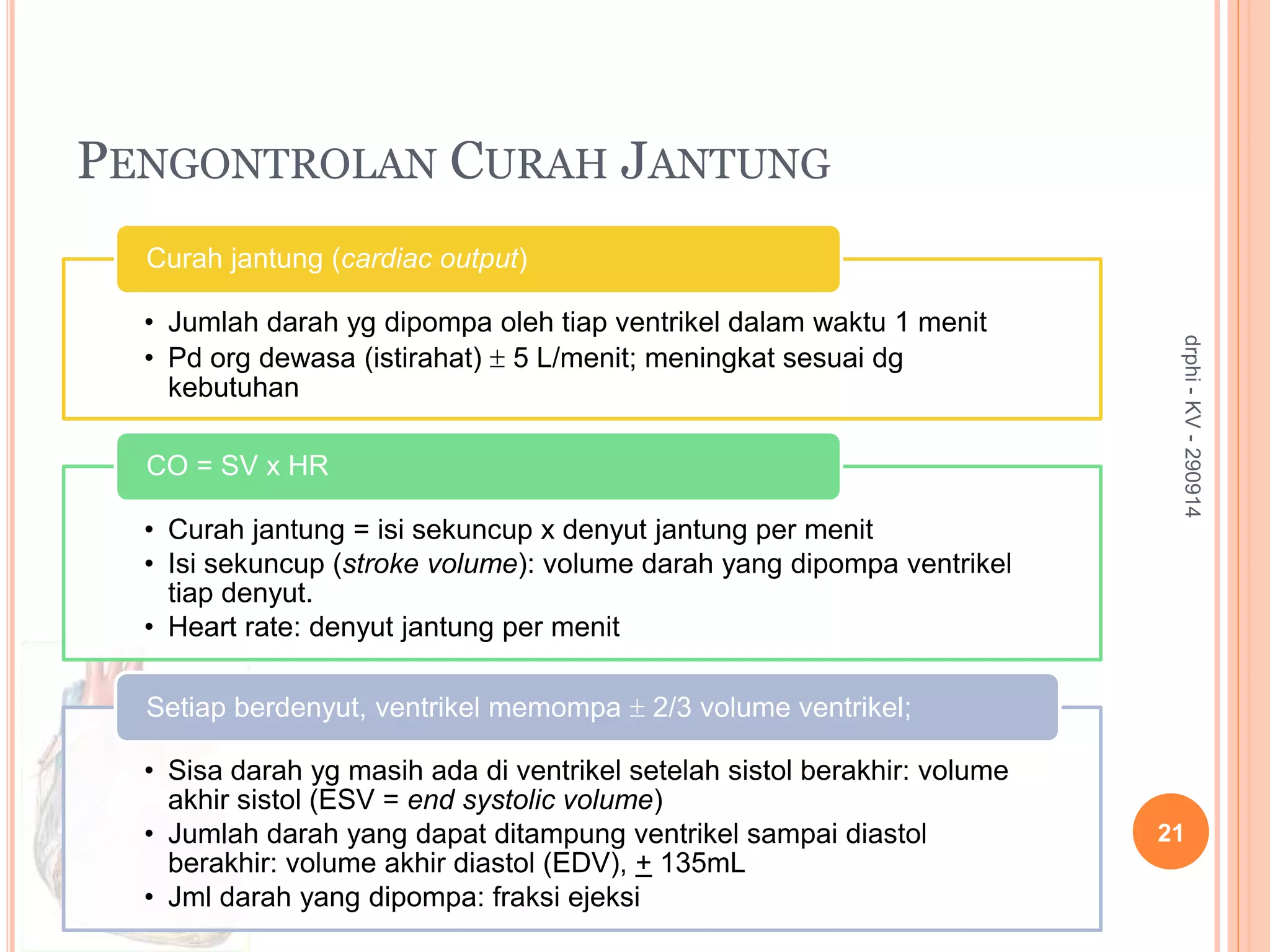 Anatomi Fisiologi Sistem Kardiovaskuler | PPTX