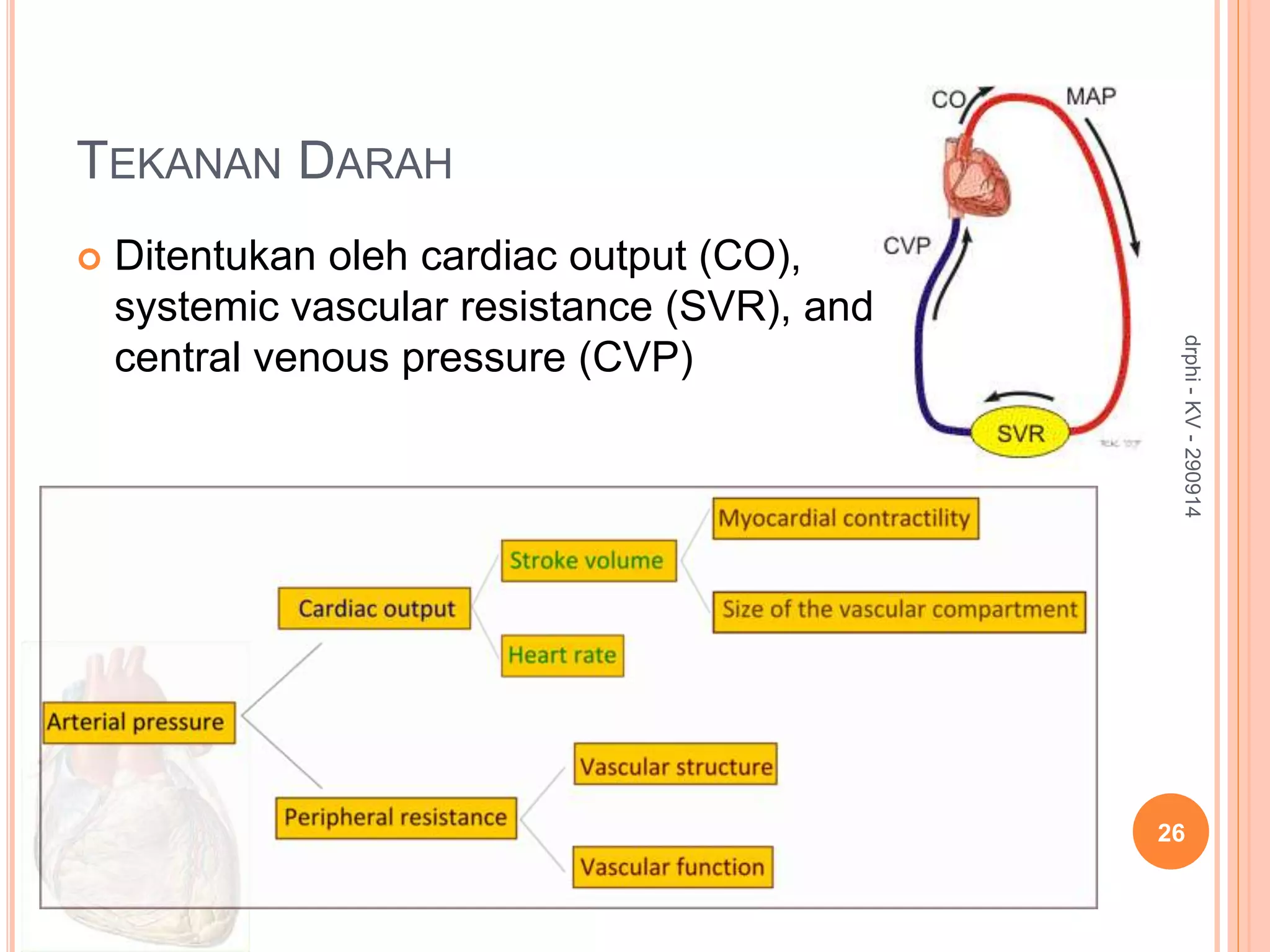 Anatomi Fisiologi Sistem Kardiovaskuler | PPTX
