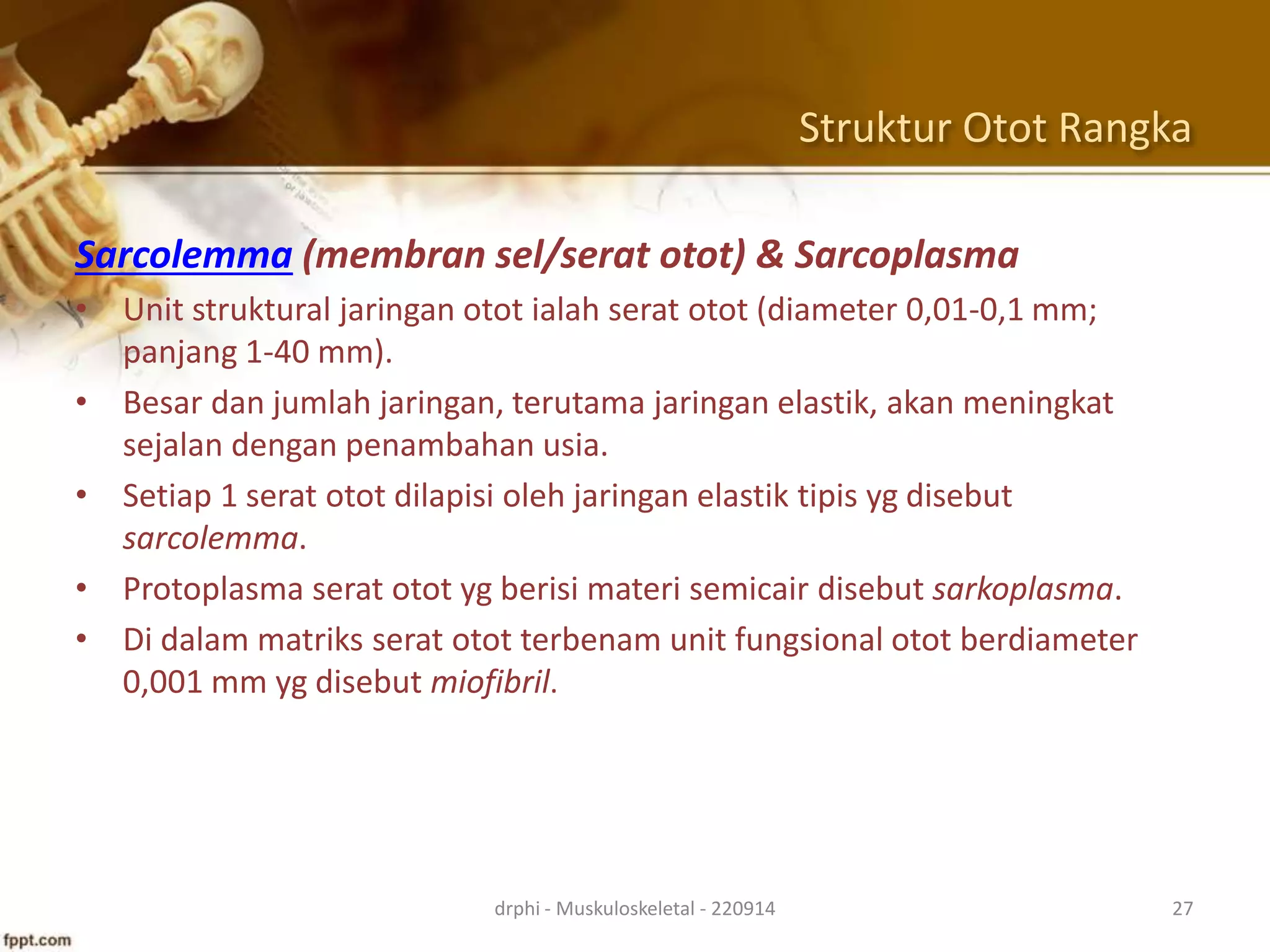 Anatomi Fisiologi Sistem Muskuloskeletal | PPTX