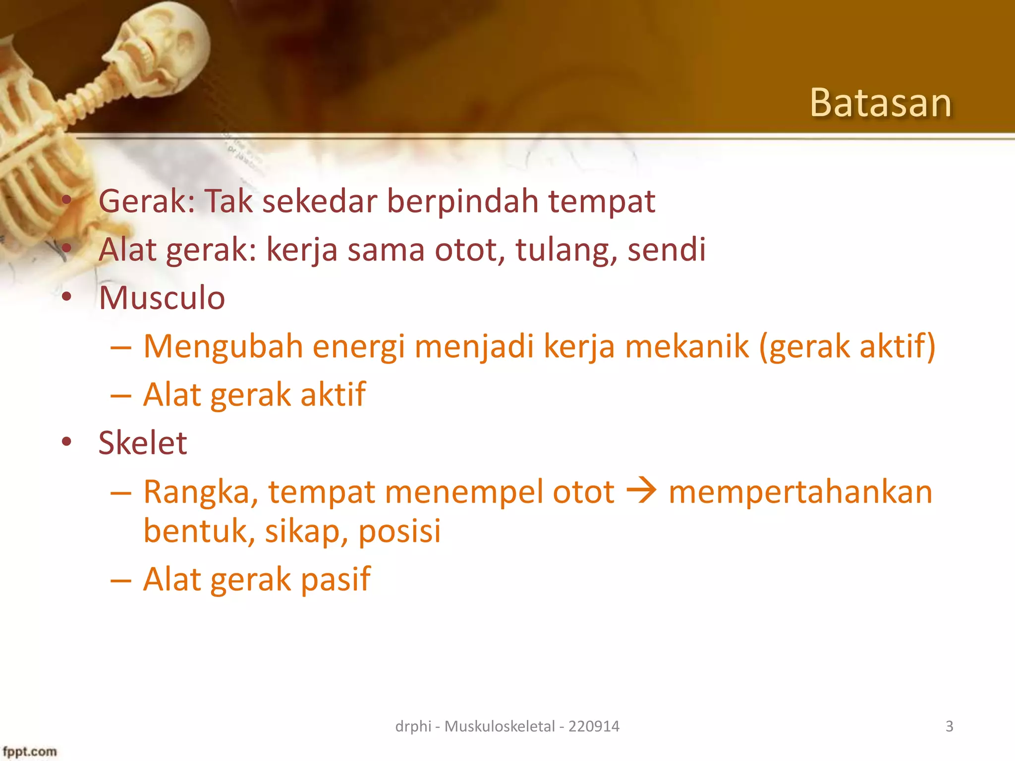 Anatomi Fisiologi Sistem Muskuloskeletal | PPTX