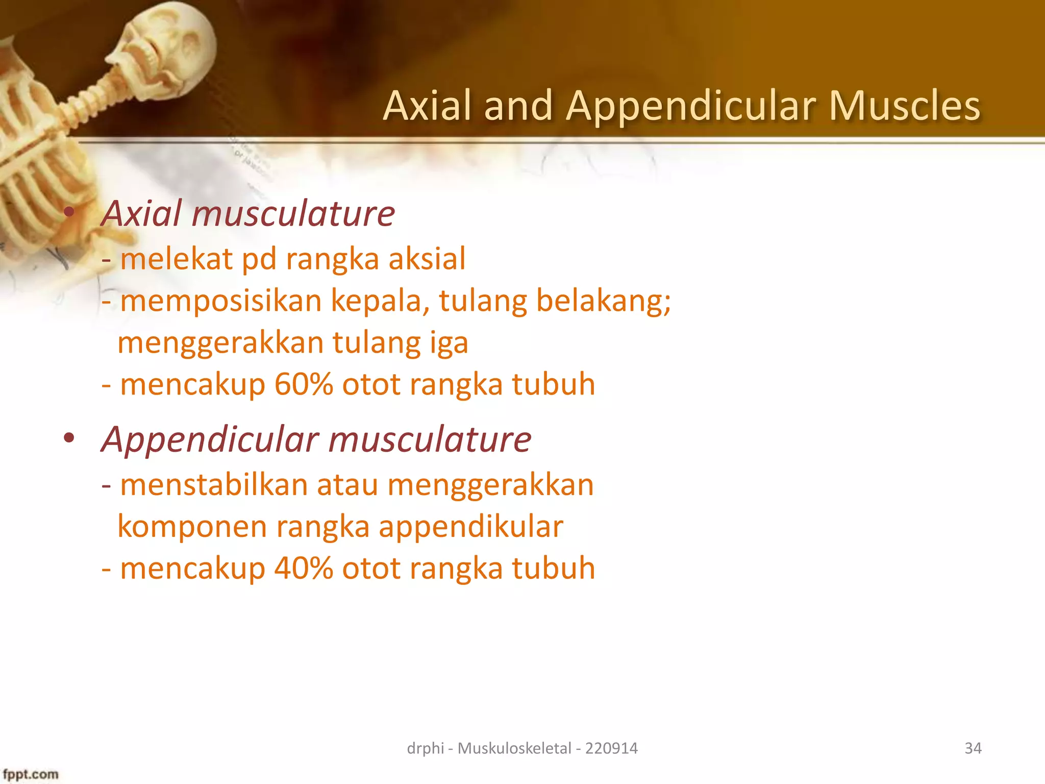 Anatomi Fisiologi Sistem Muskuloskeletal | PPTX