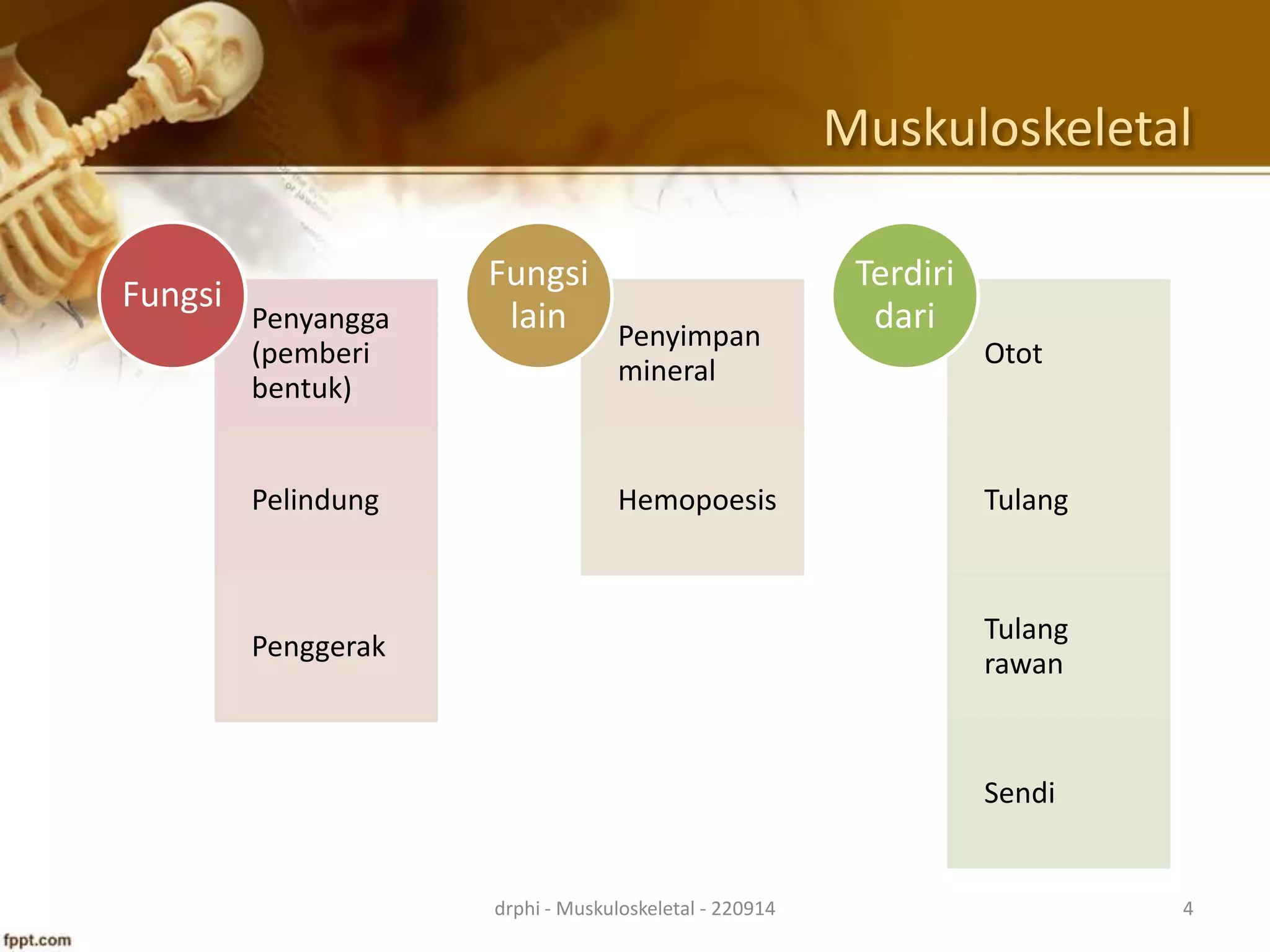 Anatomi Fisiologi Sistem Muskuloskeletal | PPTX