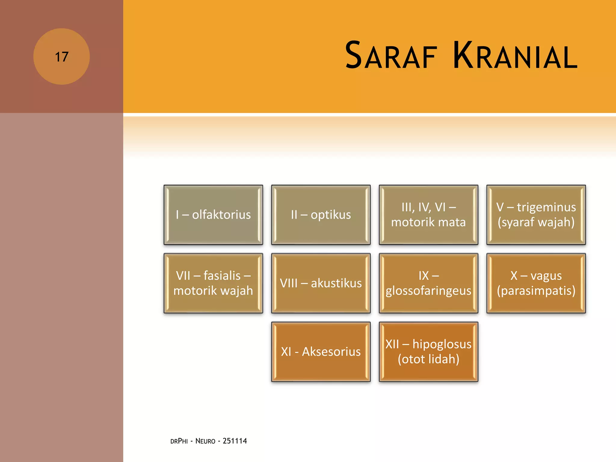 Anatomi Fisiologi Sistem Saraf | PPTX