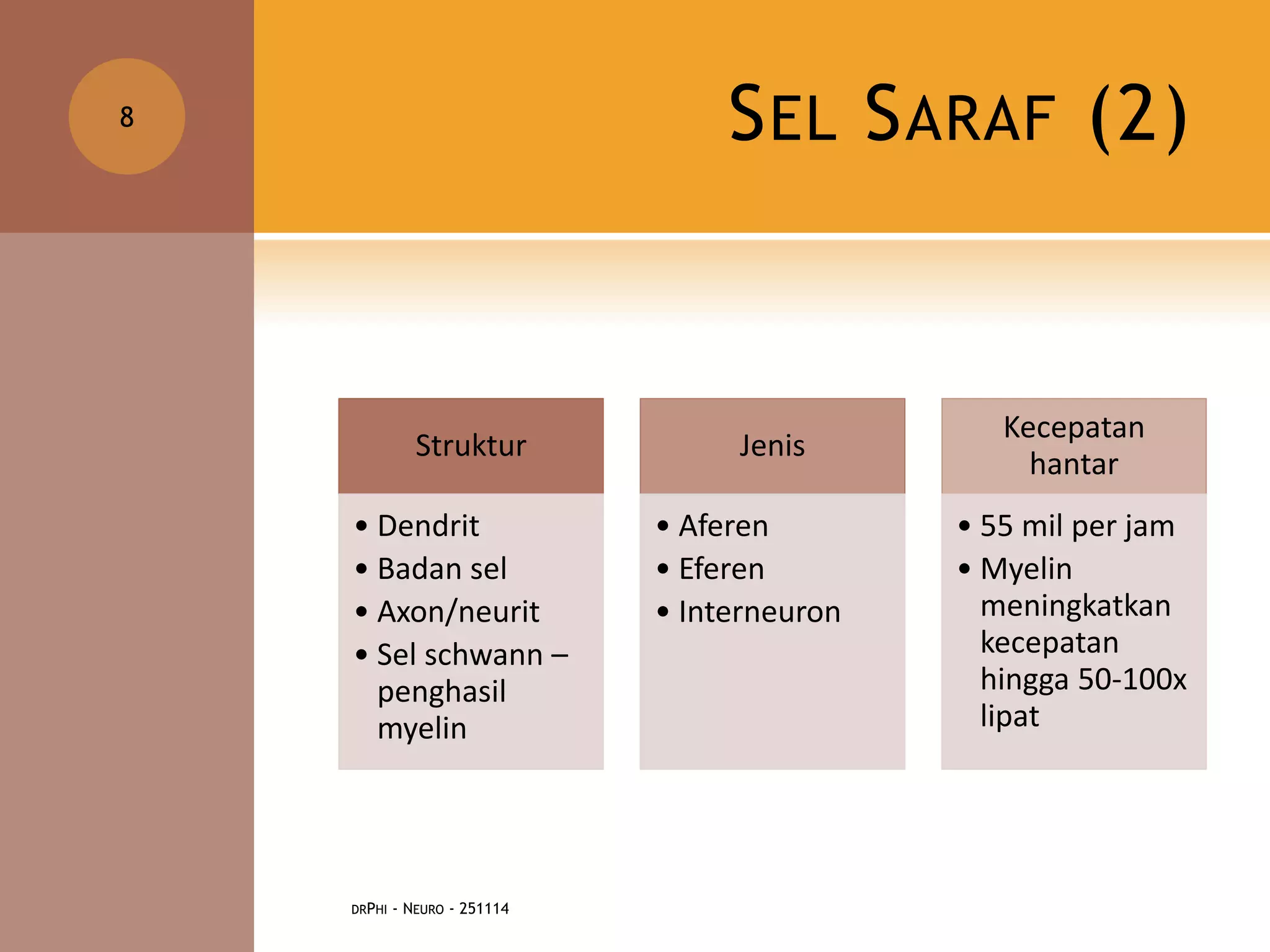 Anatomi Fisiologi Sistem Saraf | PPTX