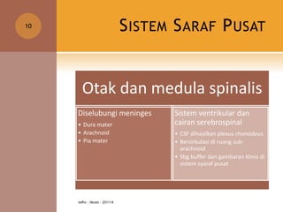 Anatomi Fisiologi Sistem Saraf | PPTX
