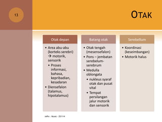 Anatomi Fisiologi Sistem Saraf | PPTX