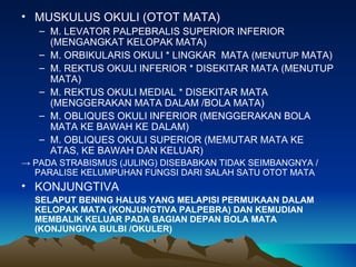 Sistem penginderaan | PPT
