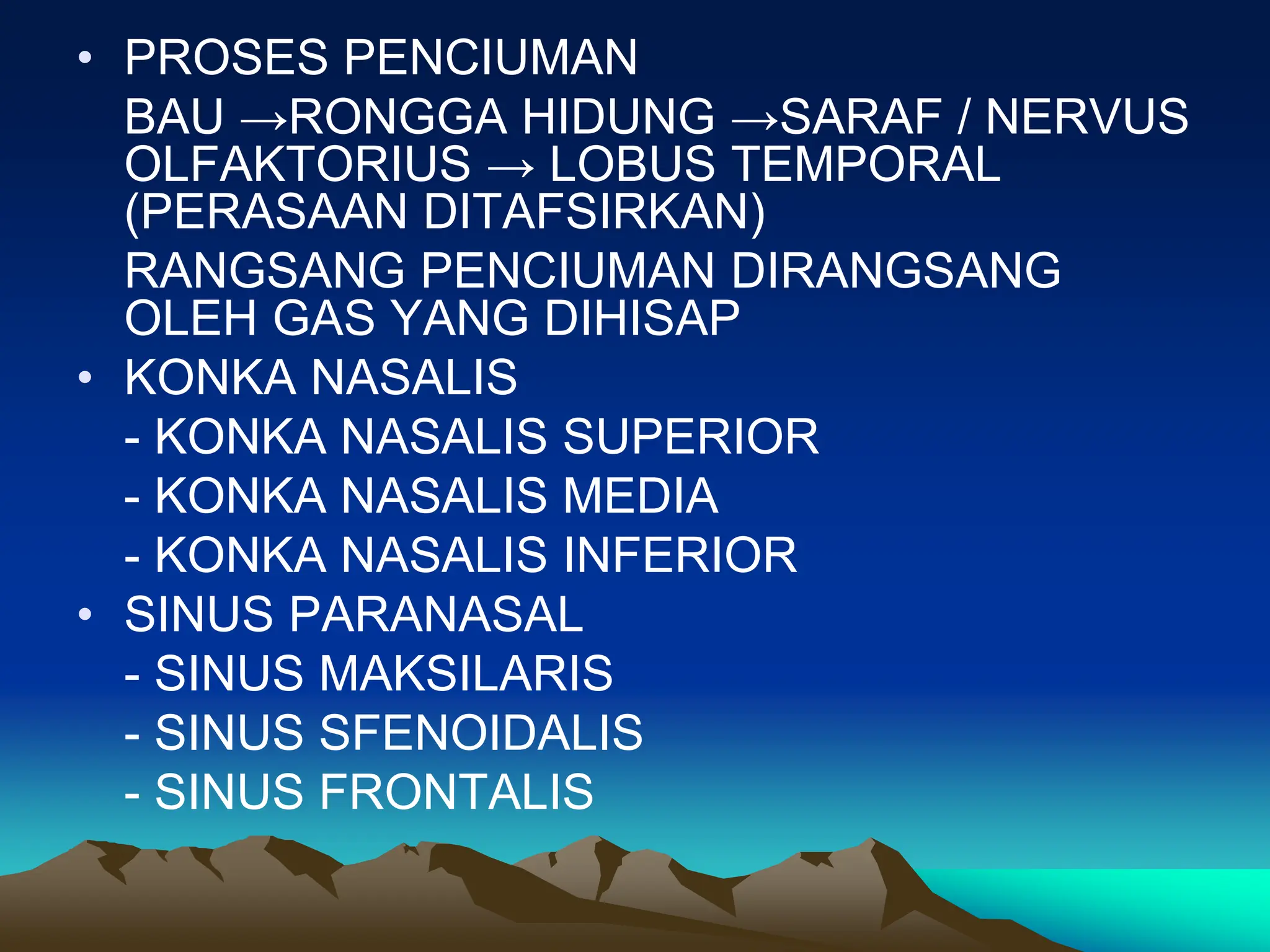 anatomi fisiologi sistem penginderaan.ppt