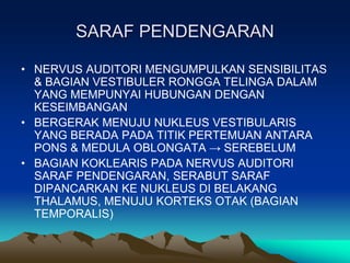 anatomi fisiologi sistem penginderaan.ppt