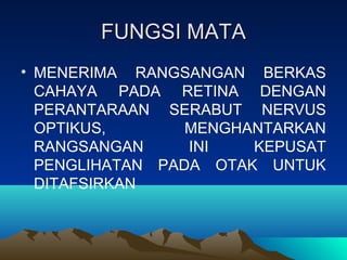 Anfis penginderaan | PPT