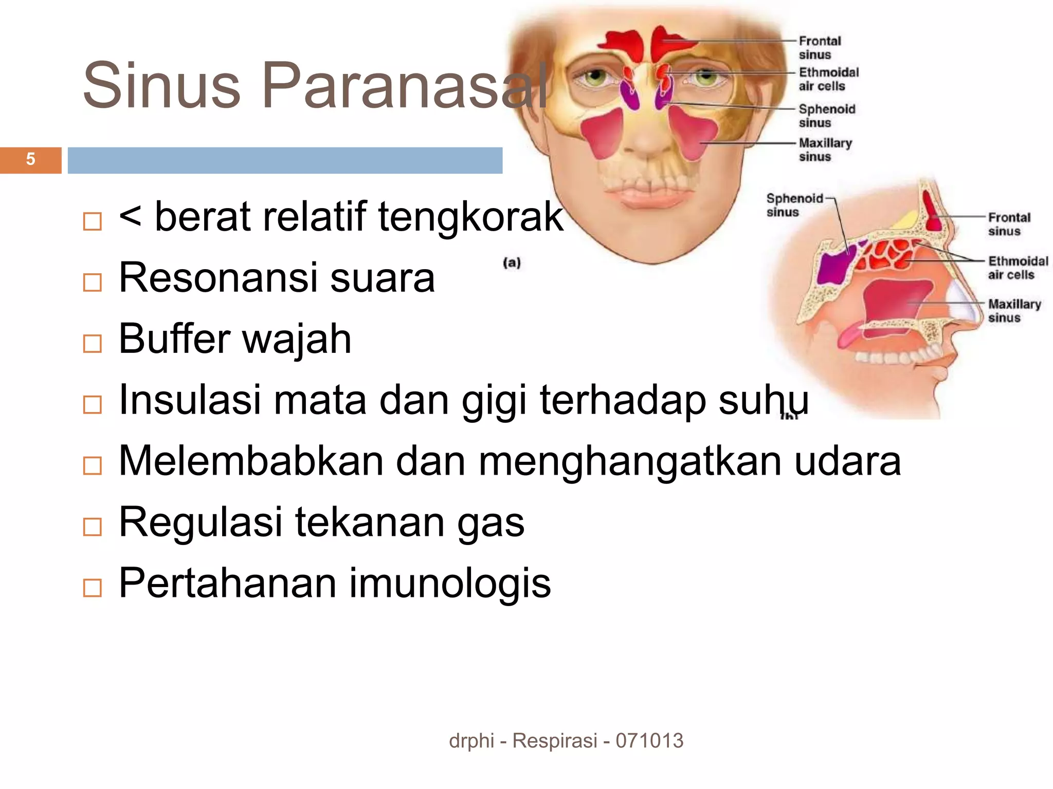 Anatomi Fisiologi Sistem Pernafasan | PPTX