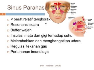 Anatomi Fisiologi Sistem Pernafasan | PPTX
