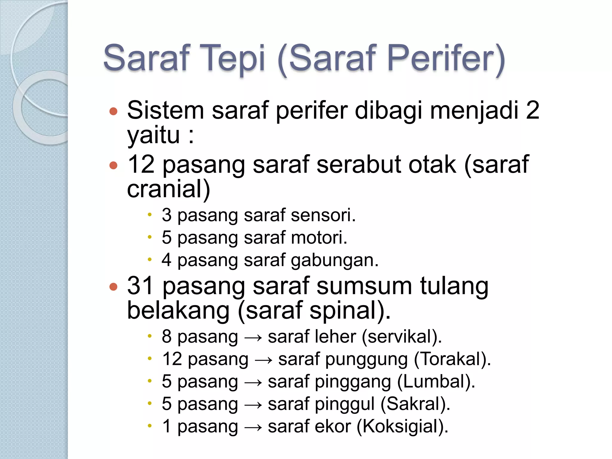 Anatomi fisiologi sistem-saraf | PPTX