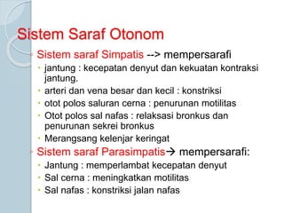 Anatomi fisiologi sistem-saraf | PPTX
