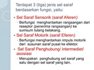 Anatomi fisiologi sistem-saraf | PPTX