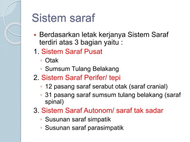 Anatomi fisiologi sistem-saraf | PPTX
