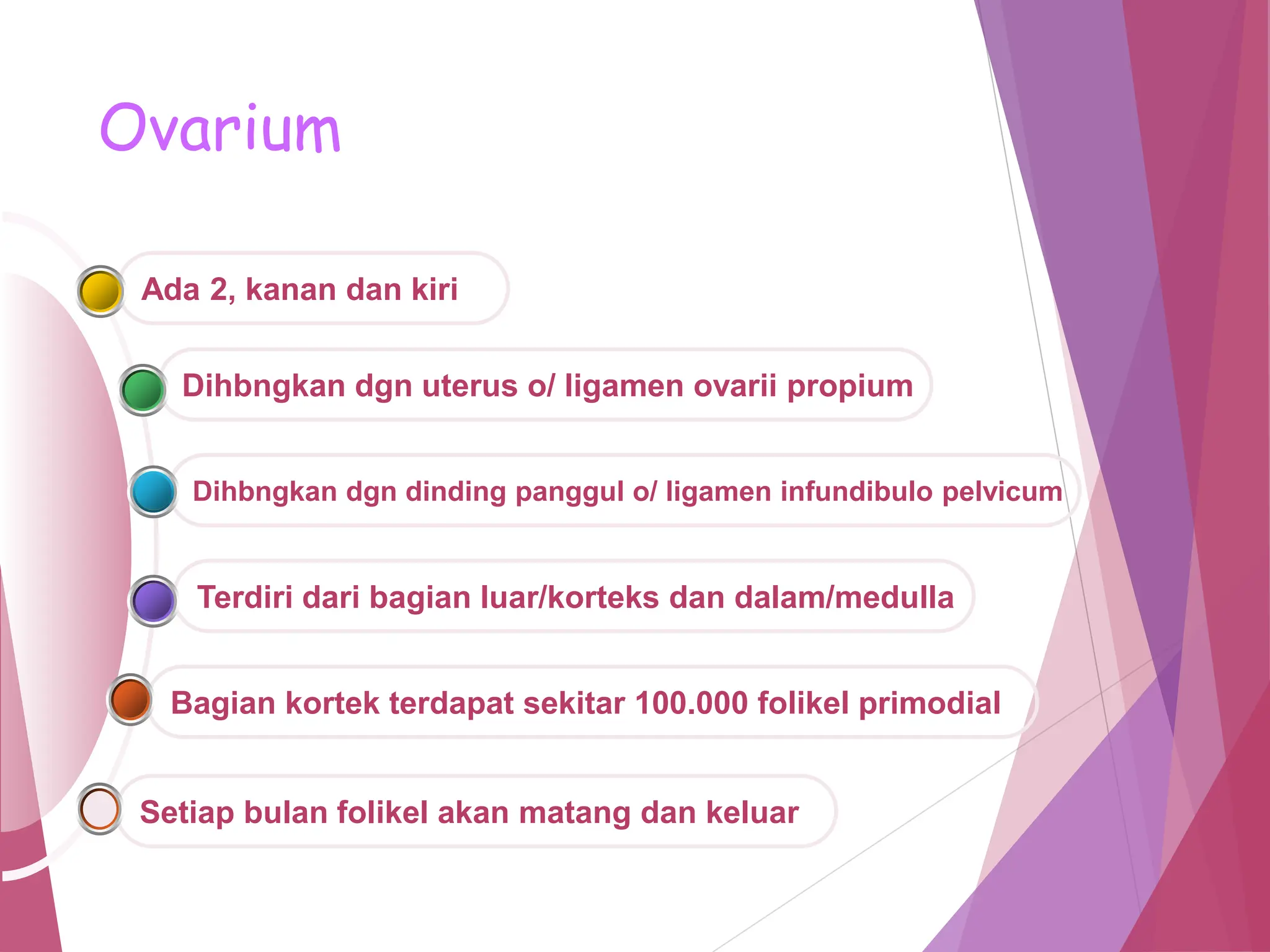 Anatomi fisiologi Alat Reproduksi pada .pdf