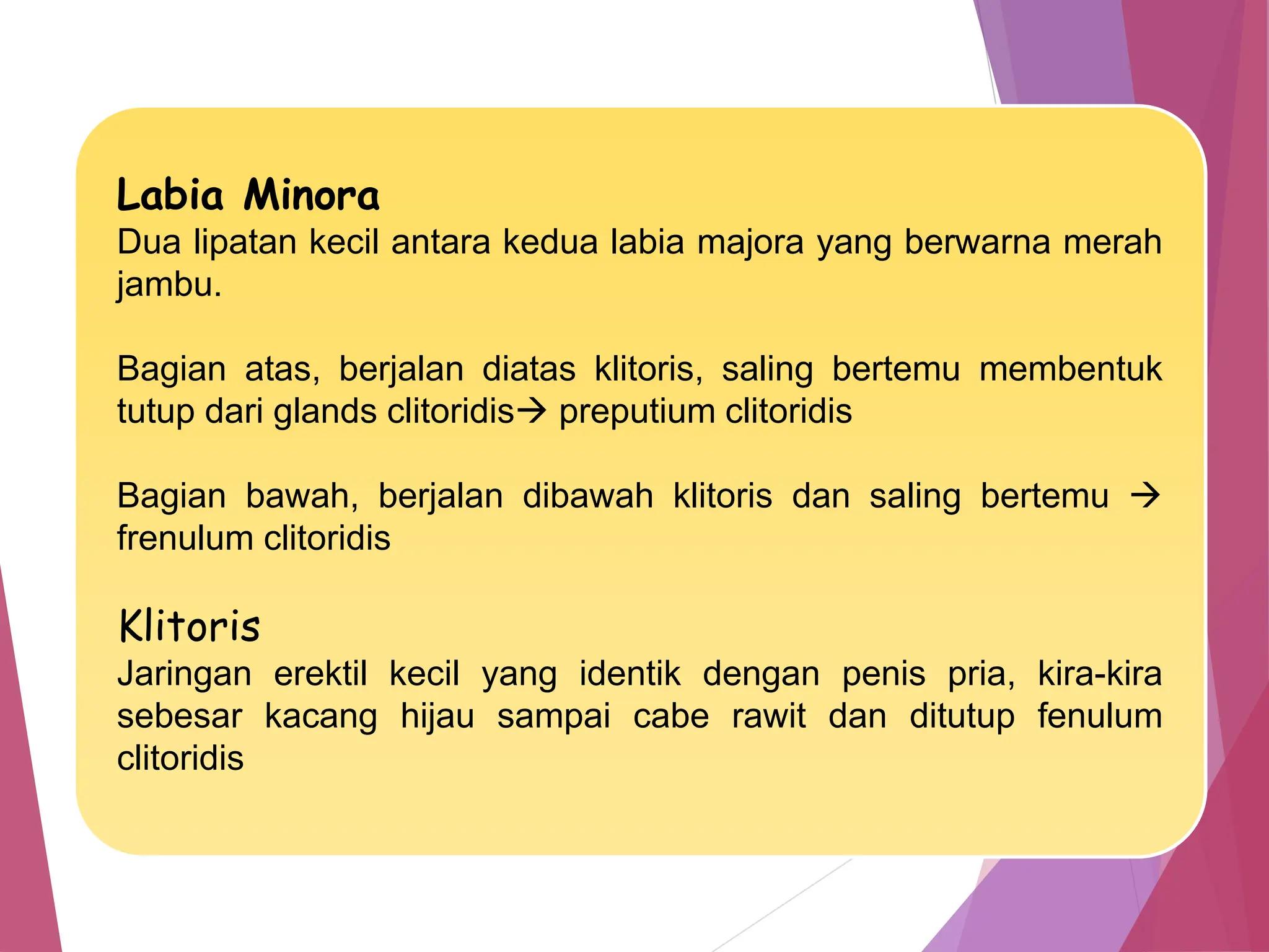 Anatomi fisiologi Alat Reproduksi pada .pdf