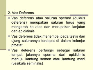 Anatomi fisiologi Alat Reproduksi pada .pdf