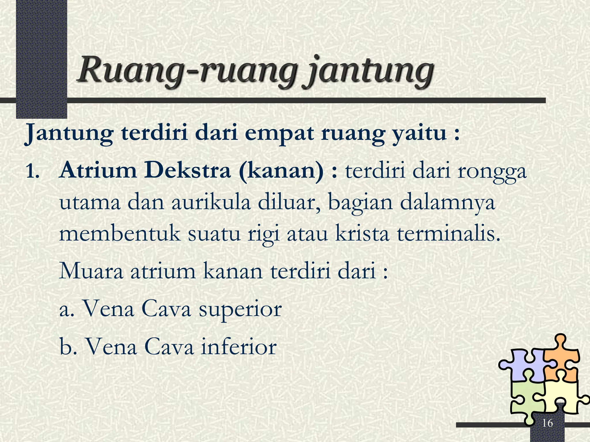 ANATOMI FISIOLOGI SISTEM CARDIOVASKULER.ppt