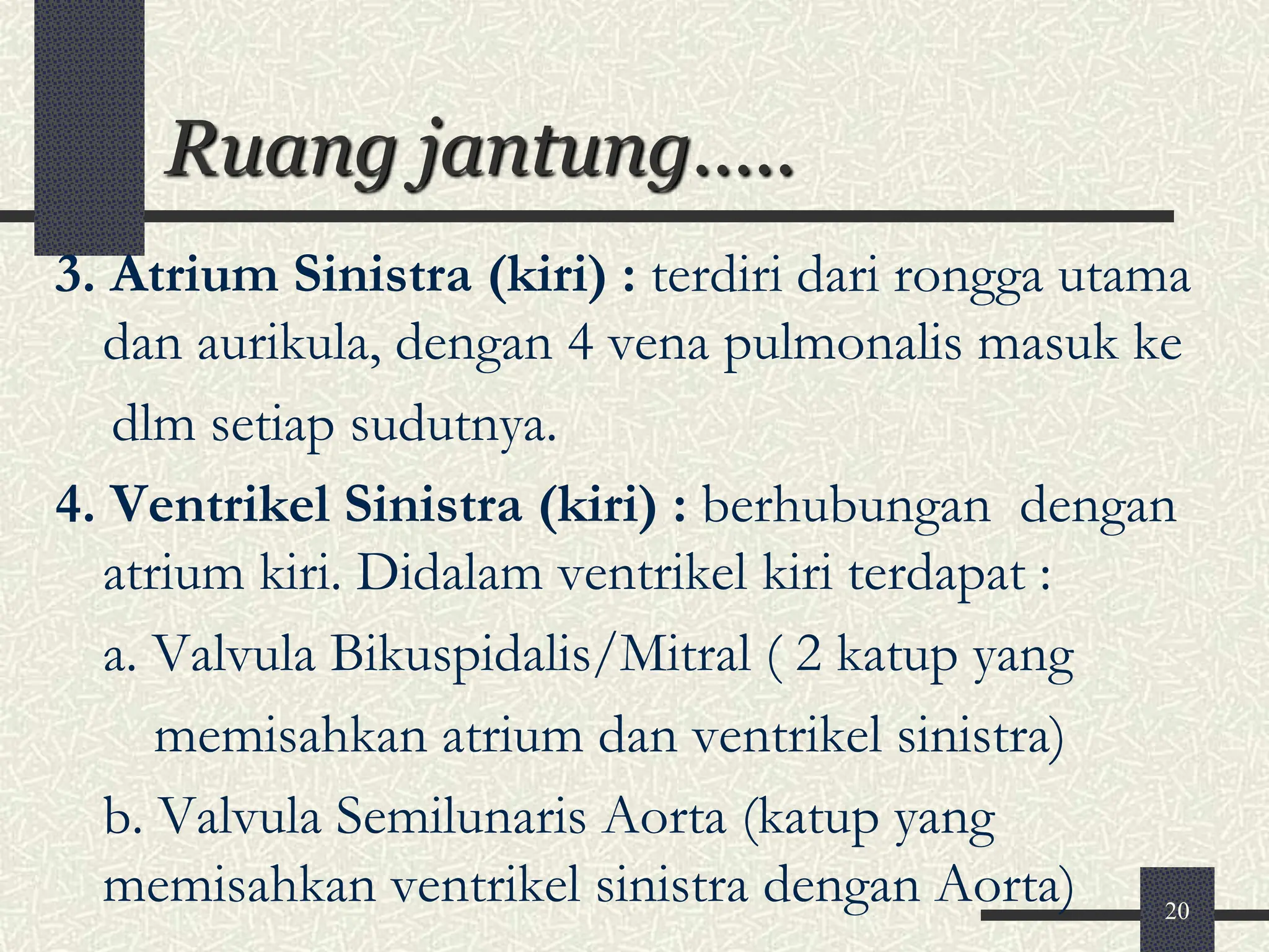 ANATOMI FISIOLOGI SISTEM CARDIOVASKULER.ppt